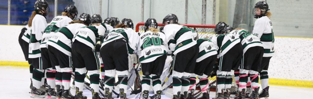 AFHL January Wrap Up | Alberta Female Hockey League - U18 AA